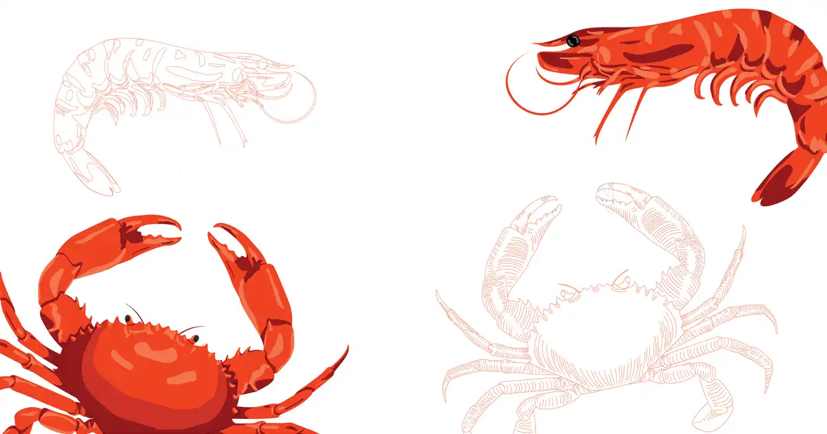 É uma boa ideia iniciar o consumo de quitina?