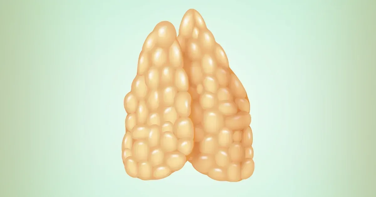 Seu timo poderia ajudar contra o câncer?